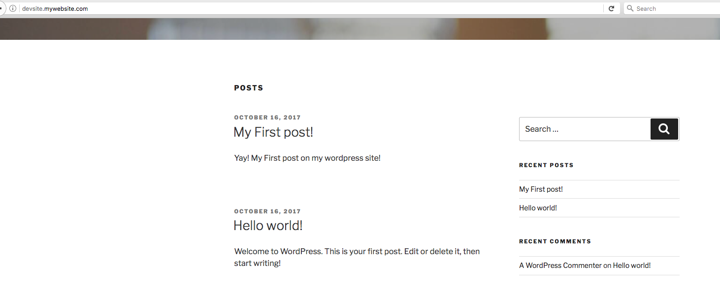 How to make a development version of a website